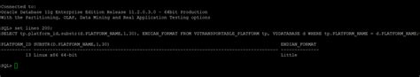 Upgrade And Migrate Oracle Database 11gr2 To 19c Non Cdb Using Tts