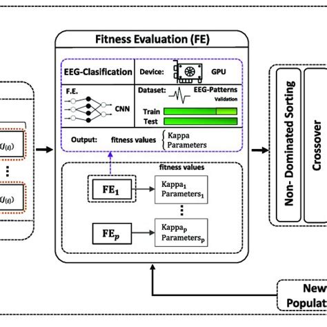 eegnet baseline architecture download scientific diagram