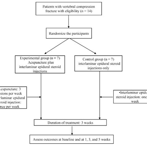 Flow Chart Of The Pilot Randomized Controlled Trial Download