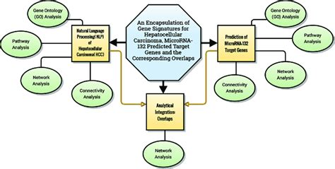 Flow Chart Of Bioinformatic Processes A Series Of Tasks I E Natural