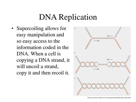 Ppt Topology Dna And Quantum Computing Powerpoint Presentation Free Download Id5464148