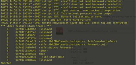 There Are Some Errors When I Run Vgg19 With Mkldnn Error Messages