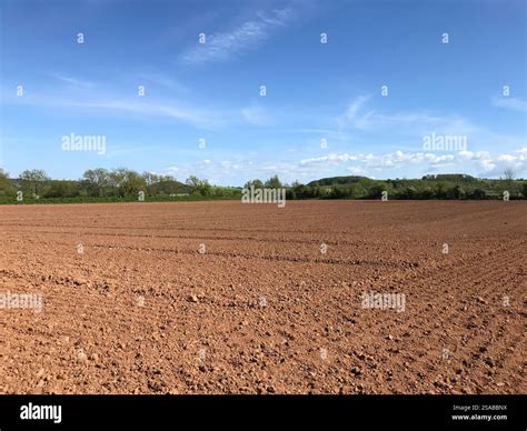 Early Summer Landscape With Ploughed Field And Green Hills Compton