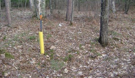 Know Your Property Boundaries UW Madison Extension Forestry