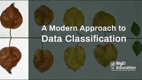 Data Discovery And Classification Tackling The Cisos Visibility Challenge Bigid