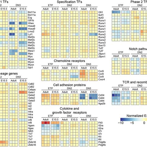 Transcriptional Regulation Of Early T‐lineage And Alternate Lineage
