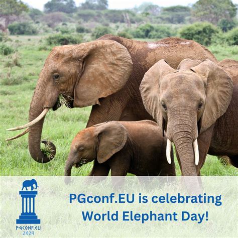 Postgresql Conference Europe On Linkedin Postgresql Worldelephantday