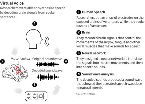 Neuroscientists Decode Brain Speech Signals Into Written Text