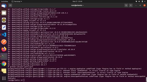 Installation Error Issue Gin Gonic Gin GitHub