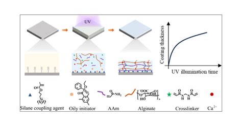 Growth Of Double Network Tough Hydrogel Coatings By Surface Initiated