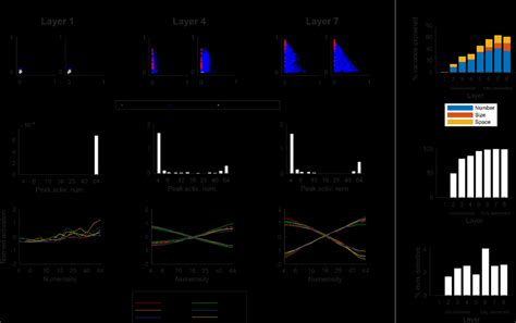 Numerosity Explains A Large Portion Of Variance In Dcnn Responses And