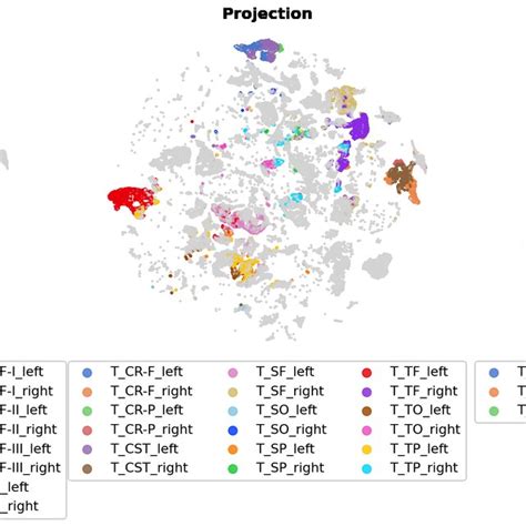 Latent Space Learned By Vf Iz Each Point Corresponds To A Streamline Download Scientific