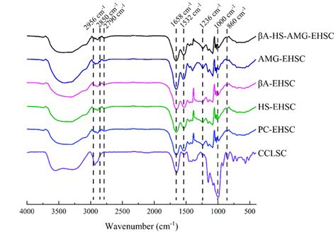 Ftir Spectra Of Cclsc And Enzymatically Hydrolyzed Starch Concentrate