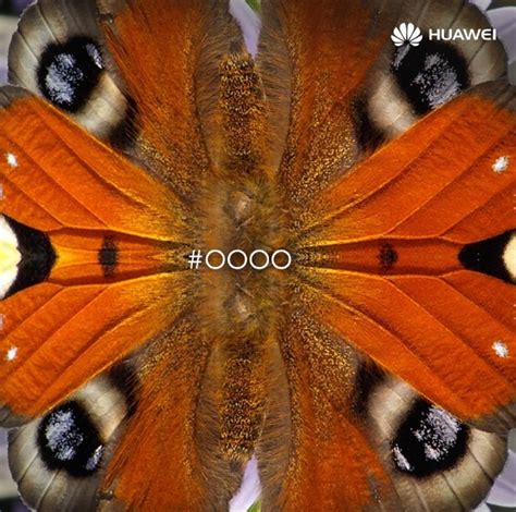 Huawei Teases New Nova Device Four Camera Smartphone Lowyat Net