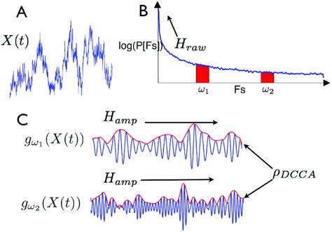 Overview Of Analysis Steps A The Neural Signal Is Extracted From The