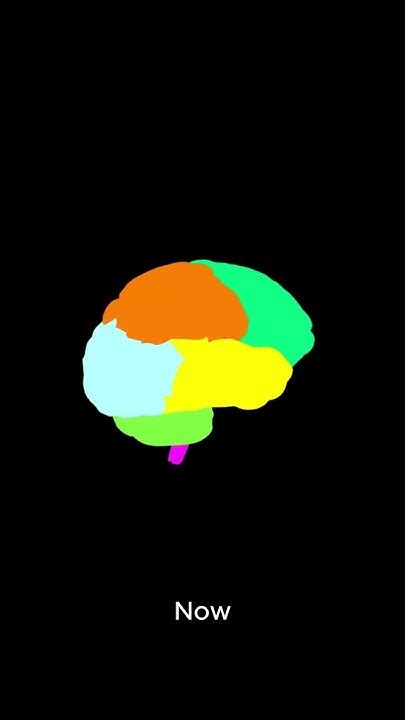 Neuroscience Health Science Biolgy Facts Youtube