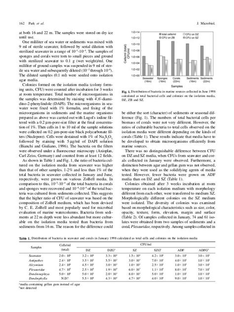 Morphological Diversity Of Marine Microorganisms On Different Isolati