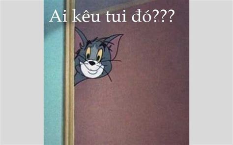 T Ng H P B Meme Tom And Jerry H I H C B A Ng Y U Cute T C Gi N
