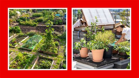 Urban Farming And Architecture Integrating Agriculture Into Cityscapes Aaa Architects Inc