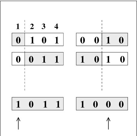 Production Of Gametes Each Pair Of Bit Strings Is Cut At A Random Download Scientific Diagram