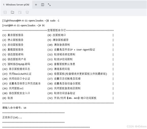 全网最菜鸟linux宝塔面板部署若依前后端分离版教程（最简单版本）宝塔部署若依 Csdn博客