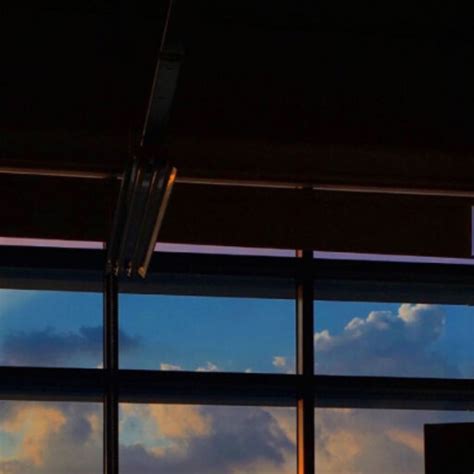 Leihan Xia University Of Melbourne Melbourne Msd Research Profile