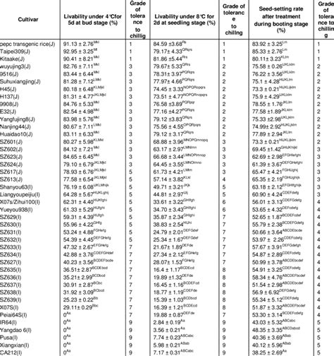 The Chilling Tolerance Identification Of Different Rice Cultivars At