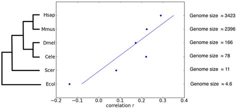 Duplicability Connectivity Correlations Vs Genome Sizes And