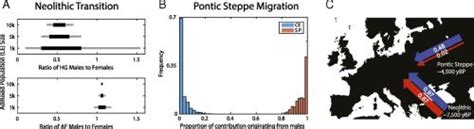 Genetic Data Reveal Contrasting Sex Bias In Neolithic And Bronze Age