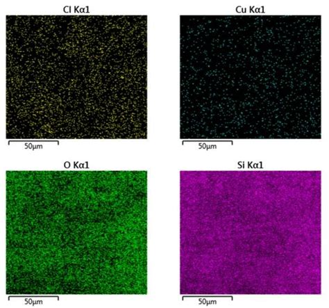 Scanning Electron Microscopy Sem Micrograph And The Corresponding