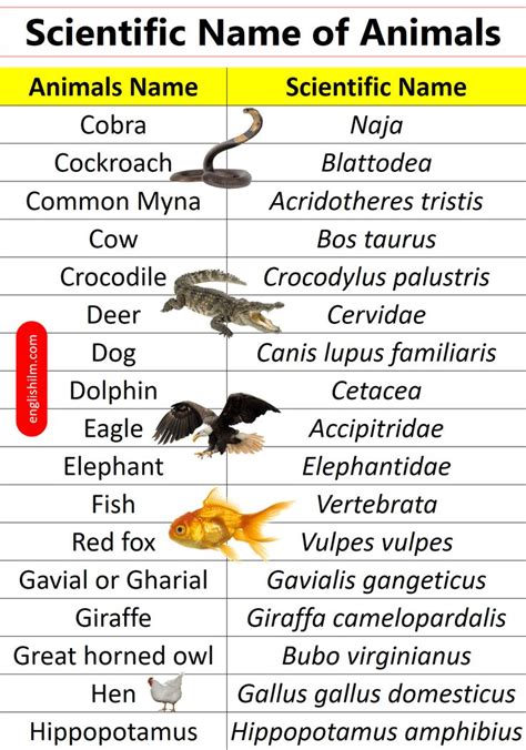 Genus Species Names