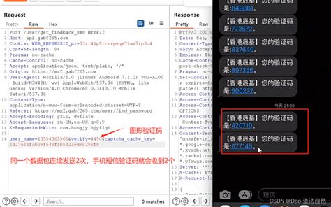 Day75：web攻防 验证码安全篇and接口滥用and识别插件and复用绕过and宏命令填入and滑块类图形验证码接口如何避免攻击 Csdn博客