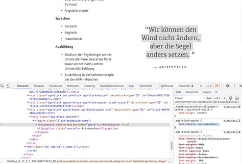 Costumize Fonts In Navigation Forms And Buttons Using Css Customize
