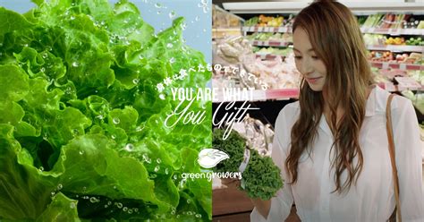 ヴィーガンは本当に環境に良い？具体的な数字で見てみよう！ グリーングロワーズ 安心安全で環境に優しい水耕栽培レタス