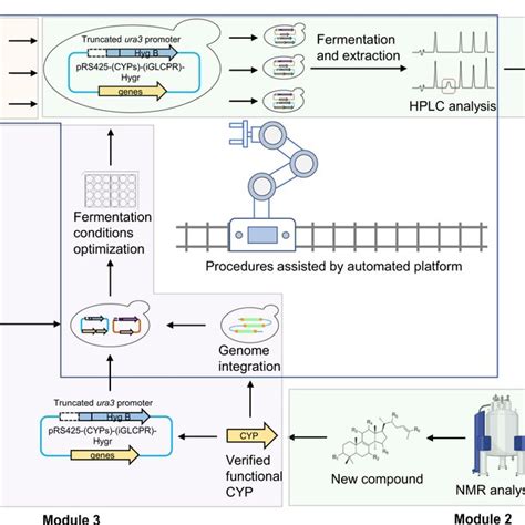 Schematic Illustration Of The Iterative Screening Of Functional Cyps Download Scientific