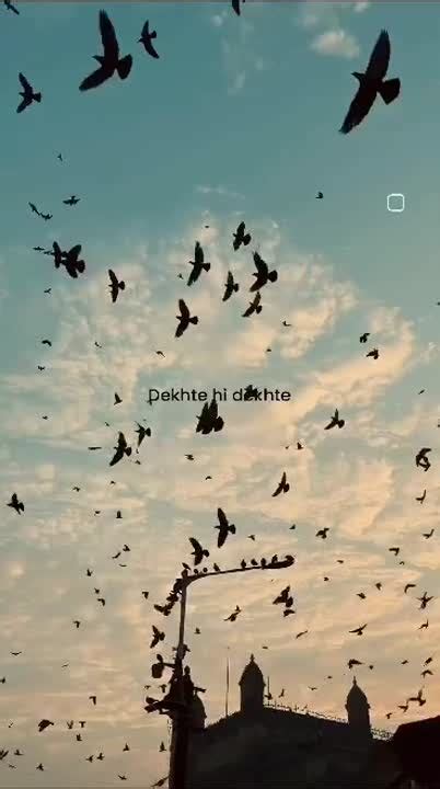 Shravani Shriram Deshpande On Linkedin 🔥🔥💯💯