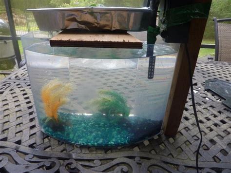 26 Diy Aquaponics System Ideas Indoor And Outdoor Diyncrafty