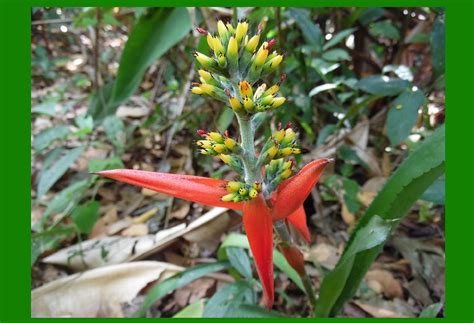 Code 39 Barcode Current Situation And Future Development