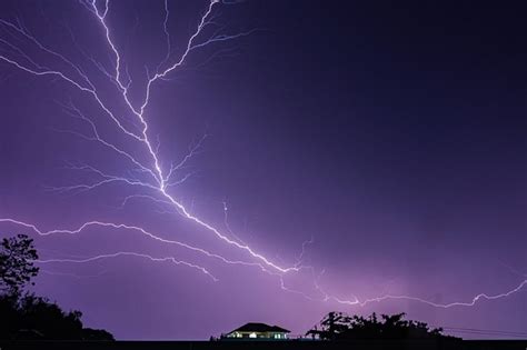 Fractals In Nature Smore Science Magazine