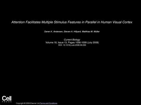 søren k andersen steven a hillyard matthias m müller ppt download