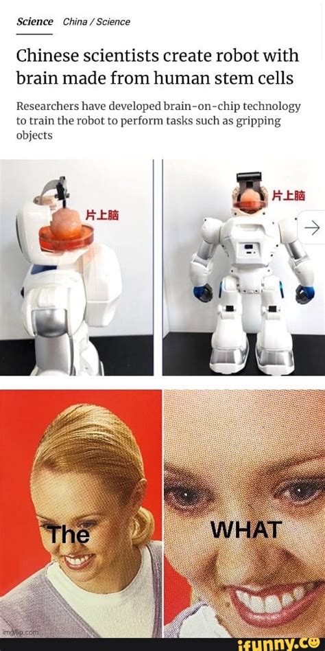 Science China Science Chinese Scientists Create Robot With Brain Made
