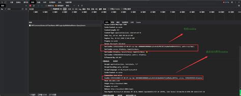 Cors请求request携带cookie失败占用license解决方案 Intersystems Developer Community