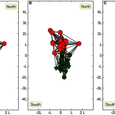 three spatial network configurations are presented for the constant