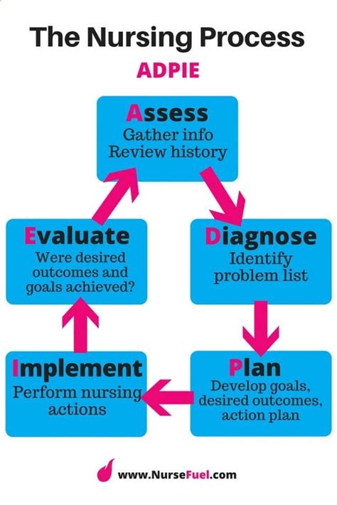 The Nursing Process Adpie Nursefuel Nursing School Nursing