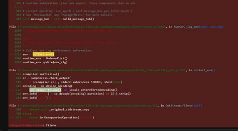 Bug Unsupportedoperation Fileno On Runner 1x Mmclassification