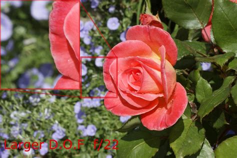 depth of field and aperture explained scott photographics free