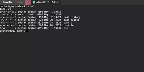 【好玩儿的docker项目】随时随地访问你的vps！sshwifty——一款专为web设计的ssh和telnet连接器 爱玩实验室