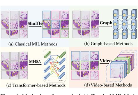 figure 1 from transformer based video structure multi instance learning