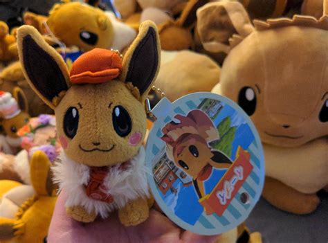 Eevee Plush Collection Just Started This Year Lol Oops And Some Favorites R Pokeplush