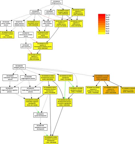 Hierarchical Tree Graphs Of Significantly Enriched Go Terms Among
